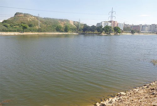 Case Study: Successful Rejuvenation of a Bengaluru lake - Clean India ...