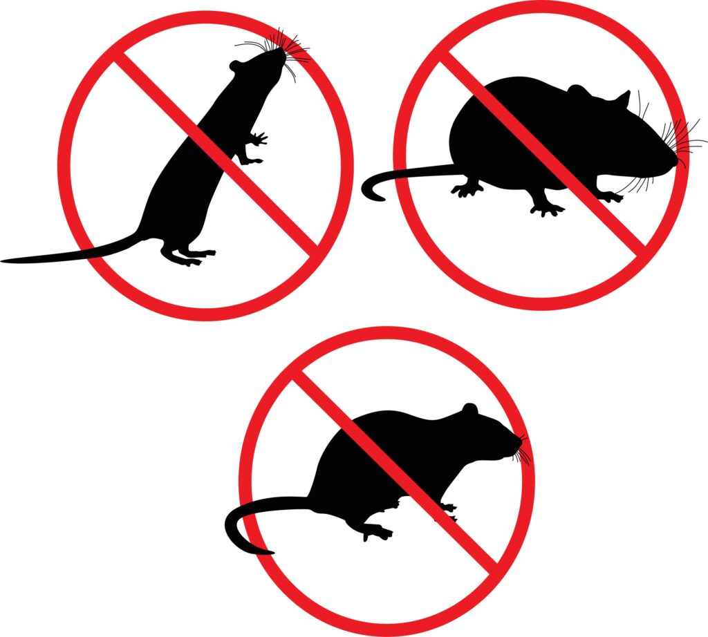A strategy for rodent-free premises - Clean India Journal