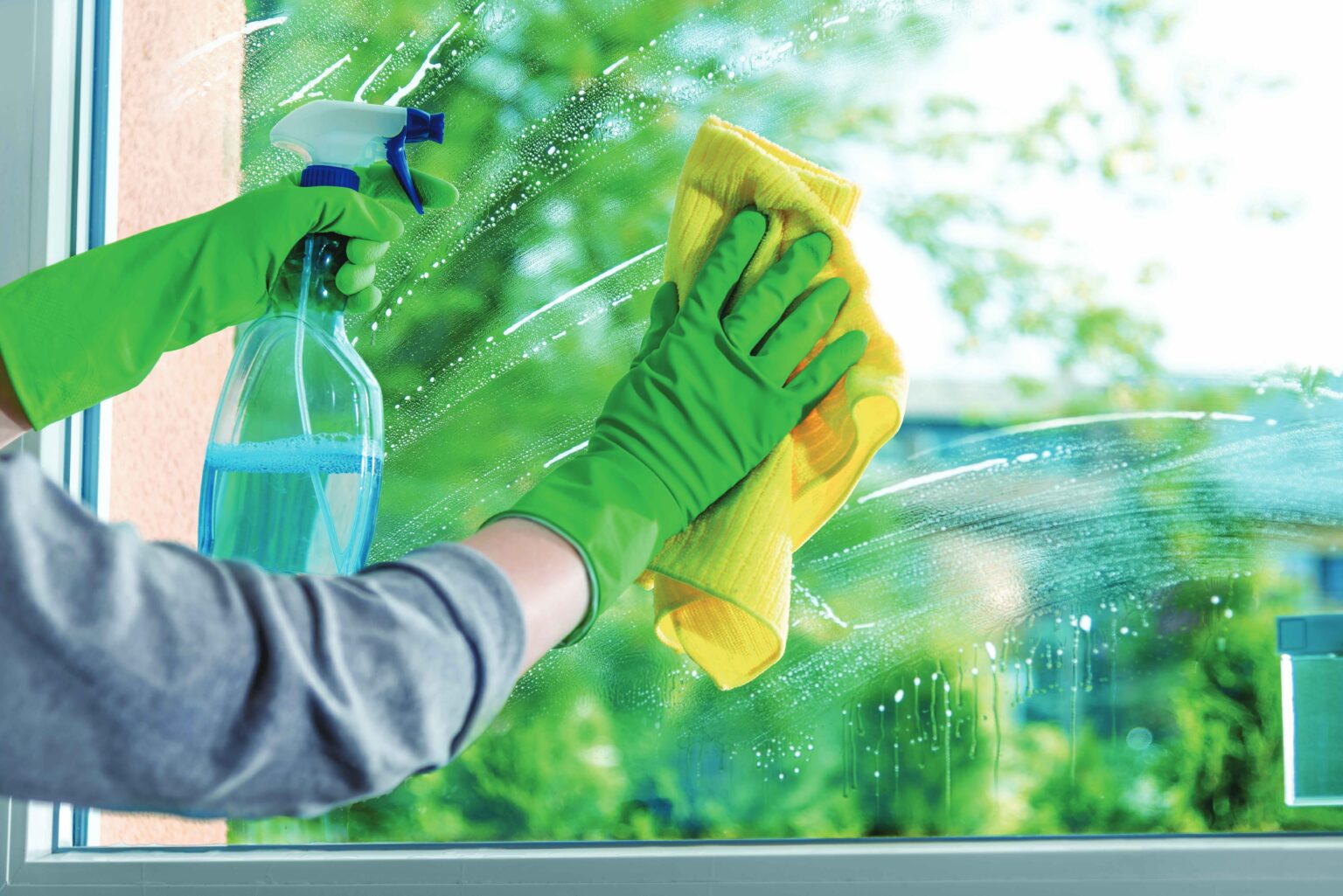 Identifying Green from non-Green and its Impact - Clean India Journal
