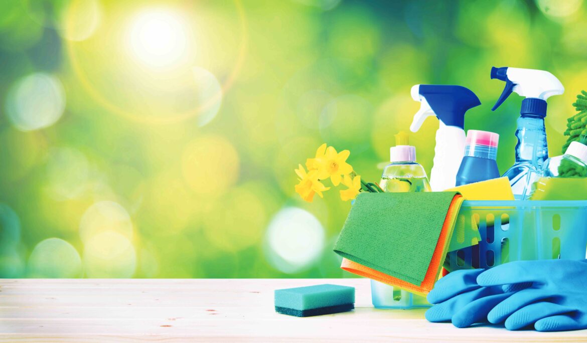Eco-Conscious Housekeeping: What are Green Products and How to ...