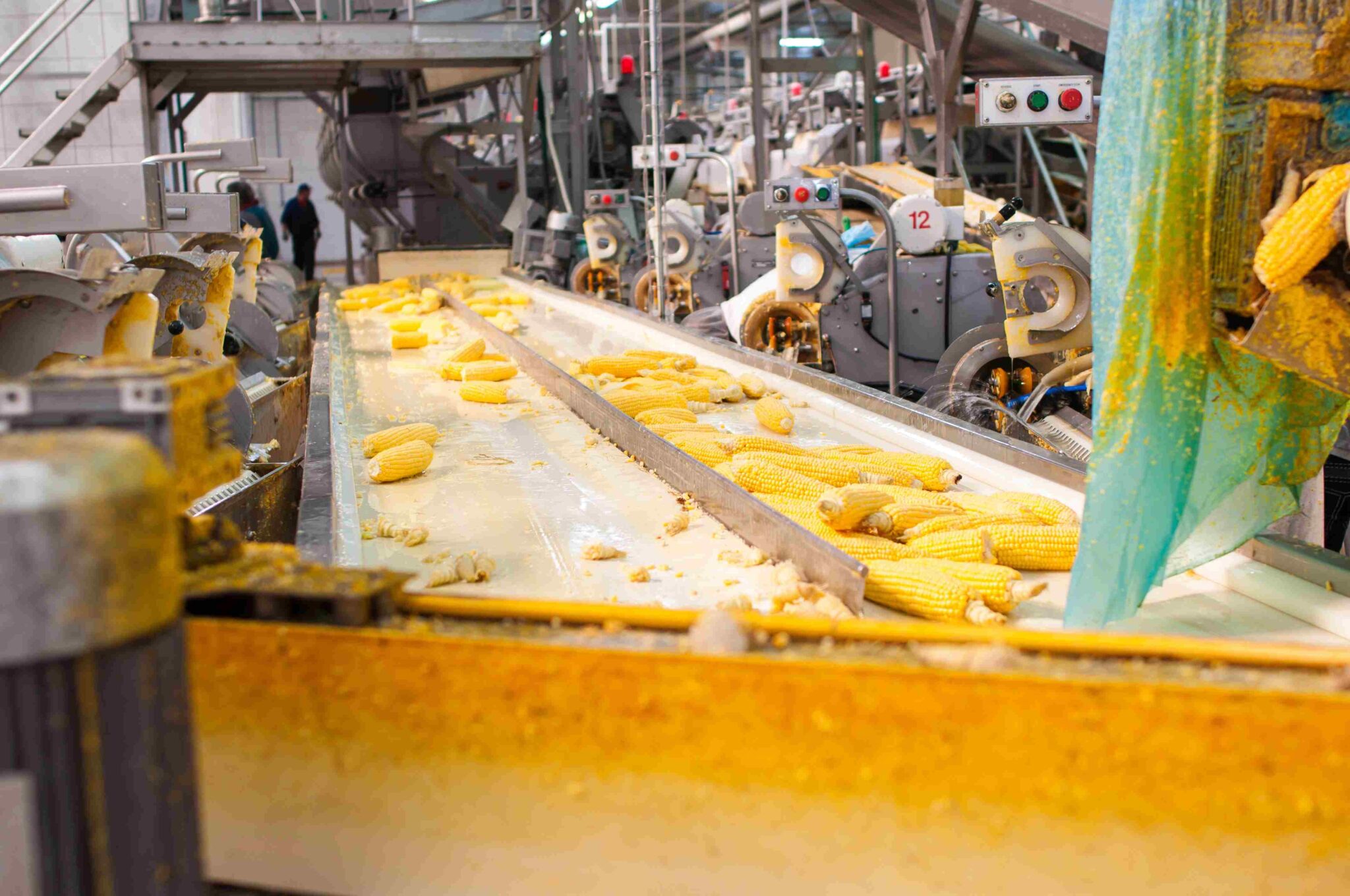 Food Manufacturing Facilities Cleaning Challenges and Solutions - Clean ...